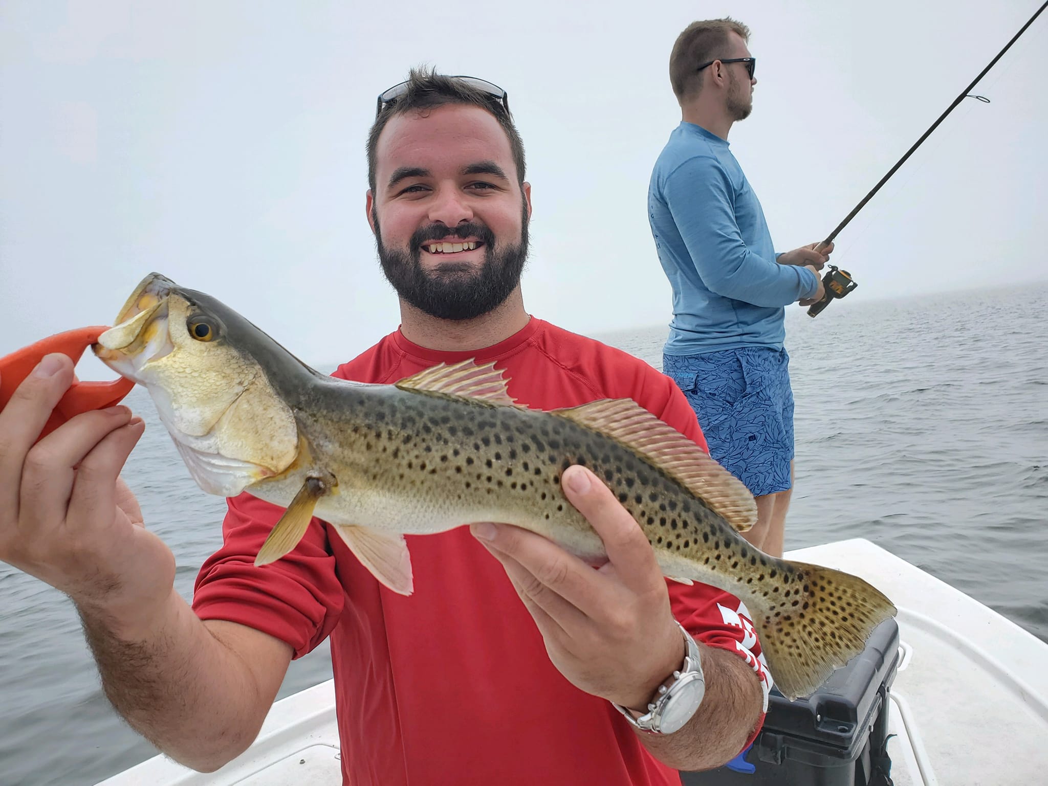 Sheepshead Still Biting Strong & Redfish are Picking Up in Steinhatchee!