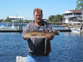 January 2011 Fishing Report and Predictions, Sea Hag Marina, Steinhatchee