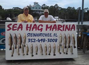 August 2012 Fishing Report and Predictions, Sea Hag Marina, Steinhatchee