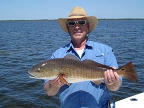 September 2010 Fishing Report and Predictions, Sea Hag Marina, Steinhatchee