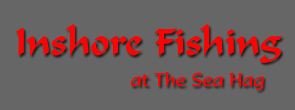 Sea Hag Marina--Inshore Fishing