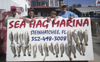 February 2008 Fishing Report and Predictions, Sea Hag Marina, Steinhatchee