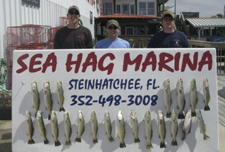February 2008 Fishing Report and Predictions, Sea Hag Marina, Steinhatchee