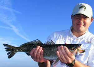 December 2008 Fishing Report and Predictions, Sea Hag Marina, Steinhatchee