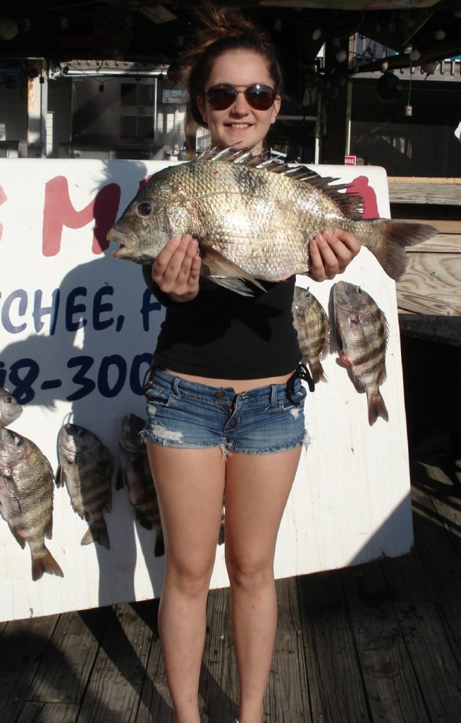 Ashley Rauch - Sea Hag Marina and the Shacks at Sea Hag