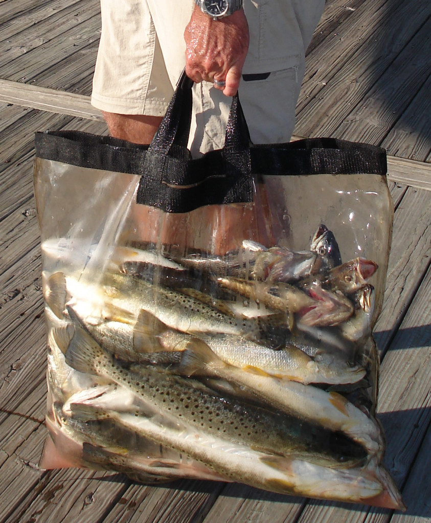 bag of fish - Sea Hag Marina and the Shacks at Sea Hag