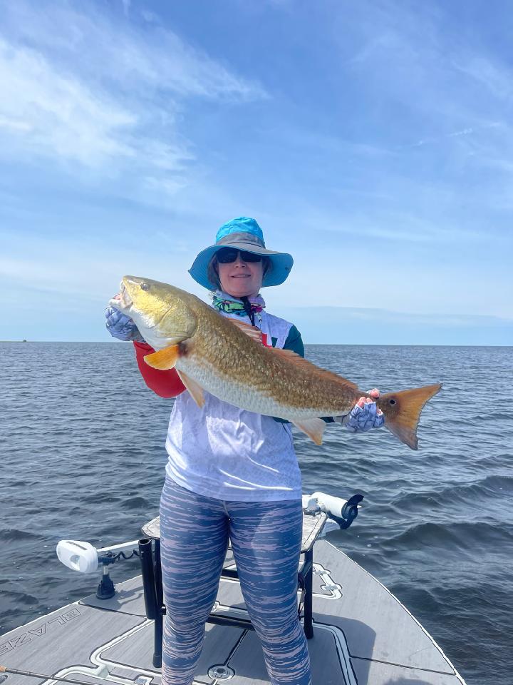 Scallop Season Opens in 9 Days!