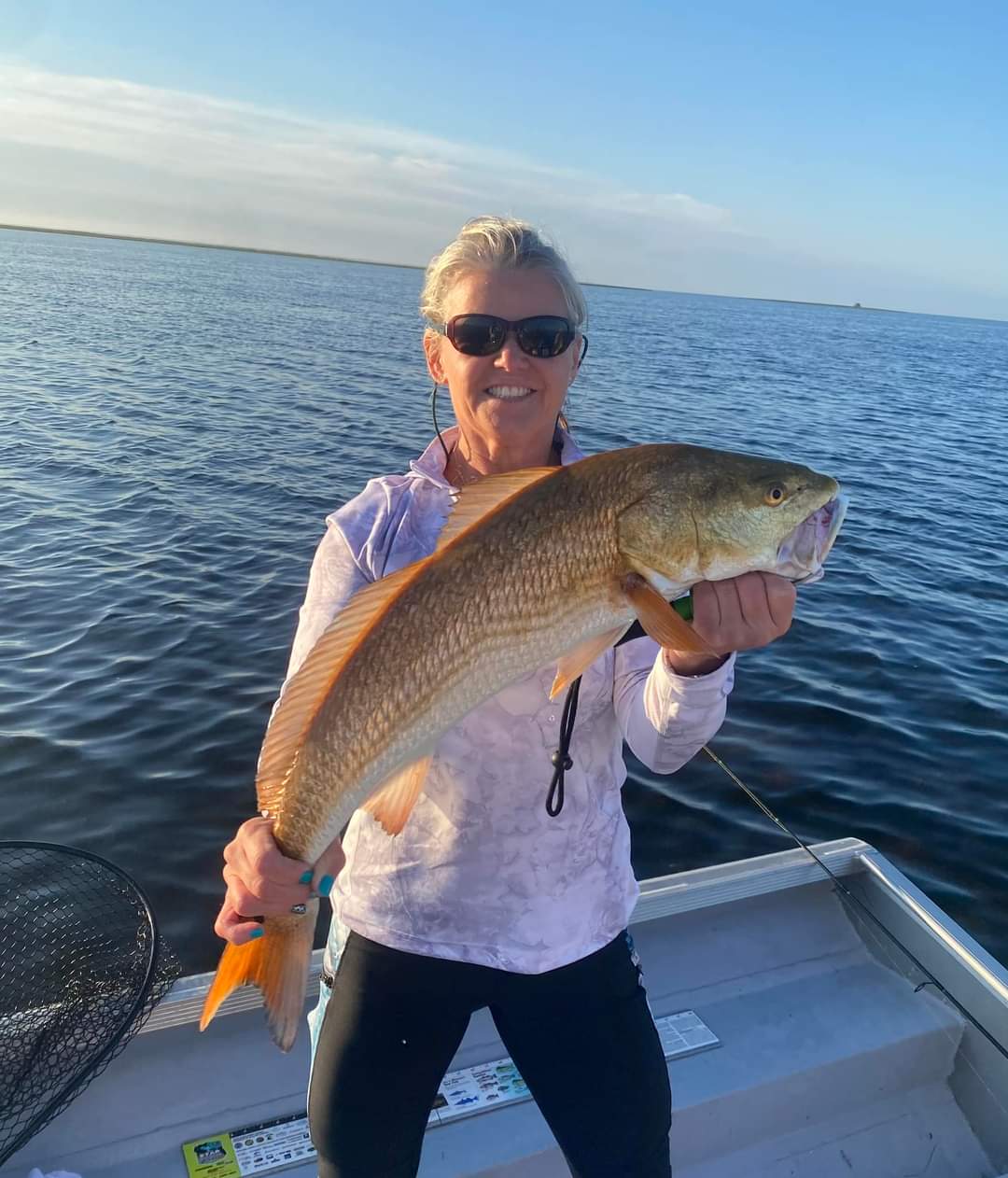 Scallop Season Opens in 9 Days!